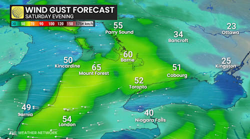 30-50 mm: Cold, heavy rain may disrupt weekend plans in Ontario