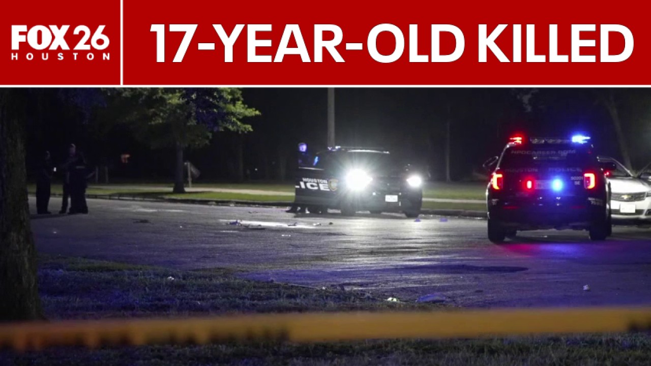 Teen killed in Houston park shooting