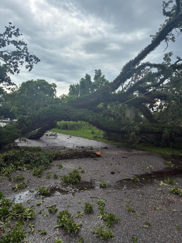 Photos show storm damage in Prichard