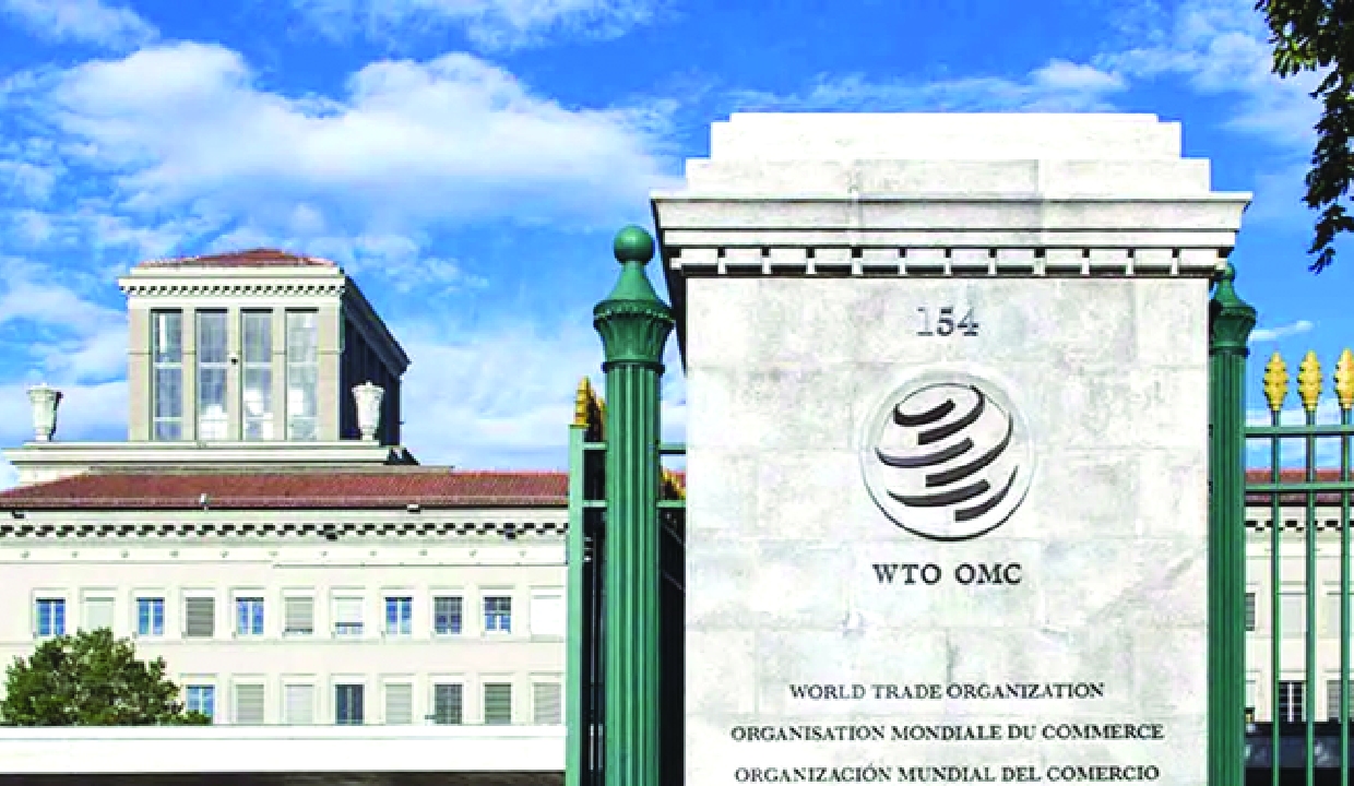 India blocks China's plea for panel on solar sector at WTO