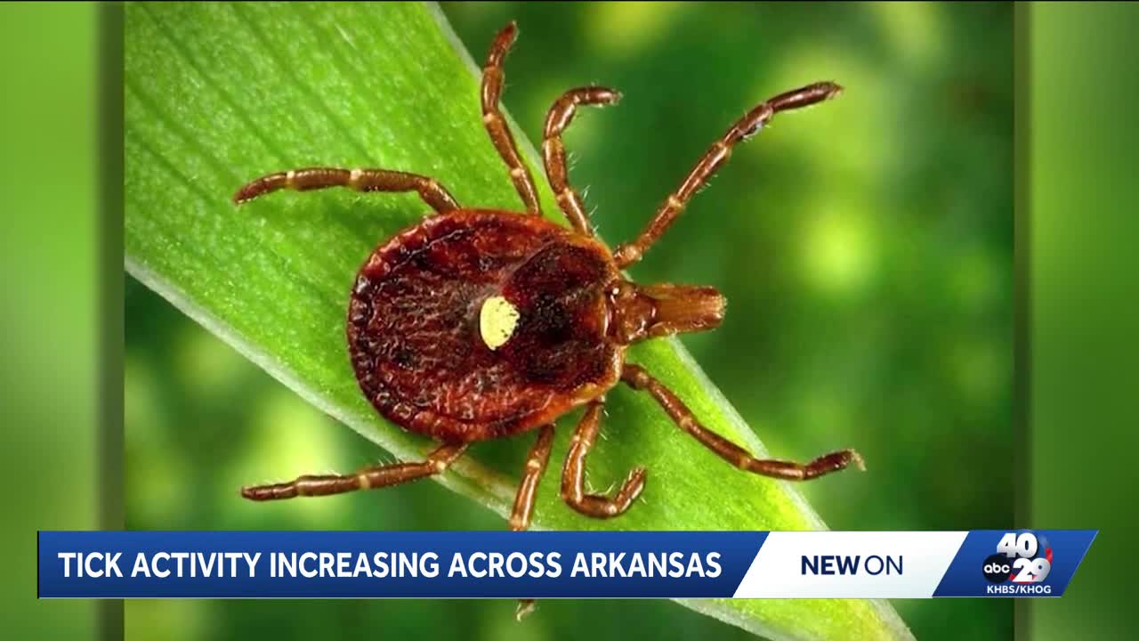 Arkansas' tick activity increases
