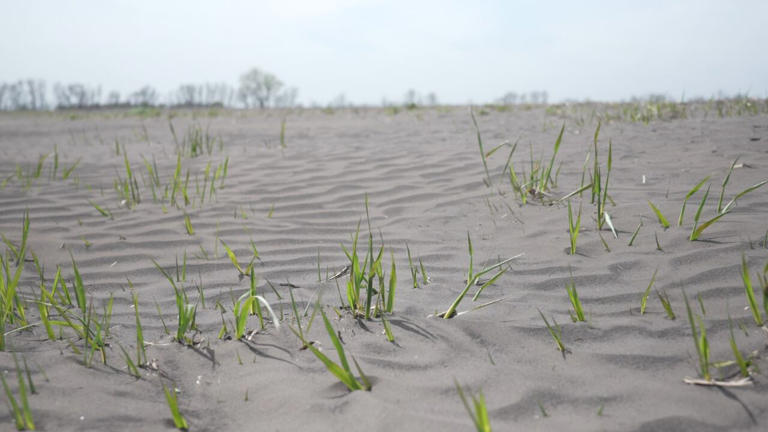 Topsoil blown into ditches leads to costly cleanup for one Manitoba ...