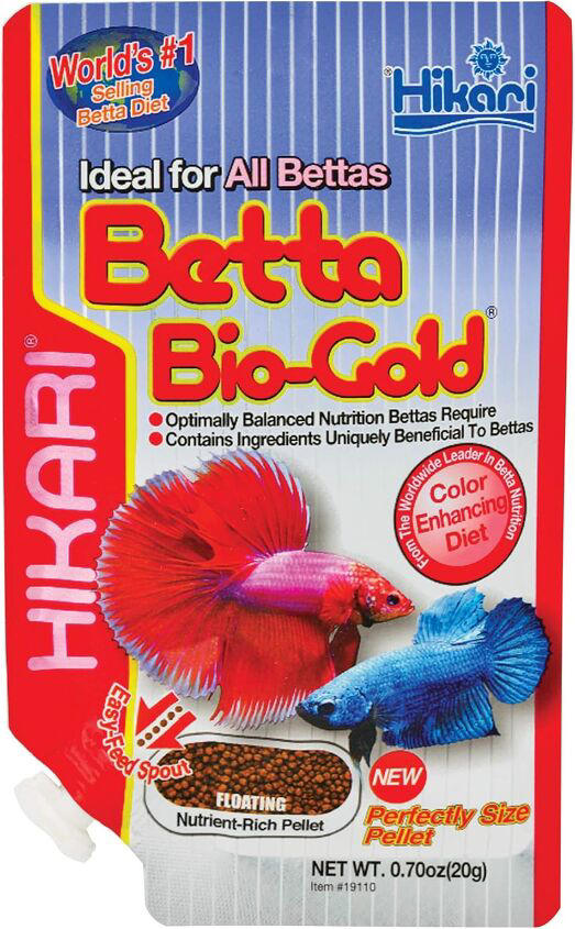 How to properly care for betta fish