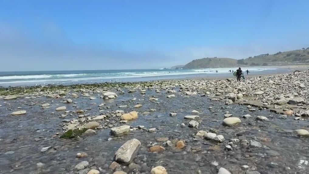 Report shows Linda Mar Beach in Pacifica contaminated with human waste ...