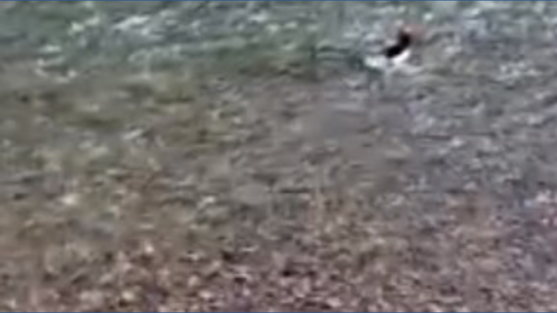 River rescuers offer water safety tips