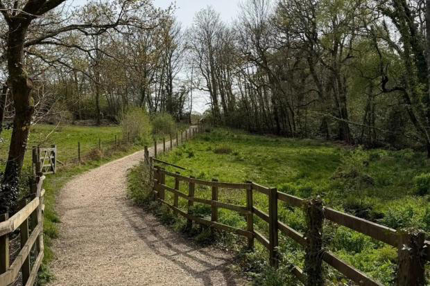 'Lovely' walk with 'beautiful' views you can enjoy from Hampshire's ...