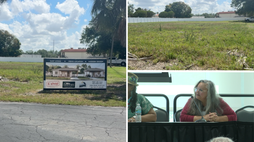Tampa approved permit to develop on land activist says is erased grave ...
