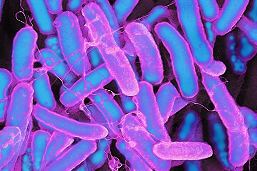 Two E coli cases in San Diego County linked to The Kebab Shop statewide ...