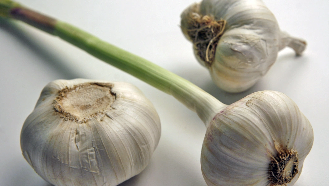 Cozy up with soul-warming garlic soups