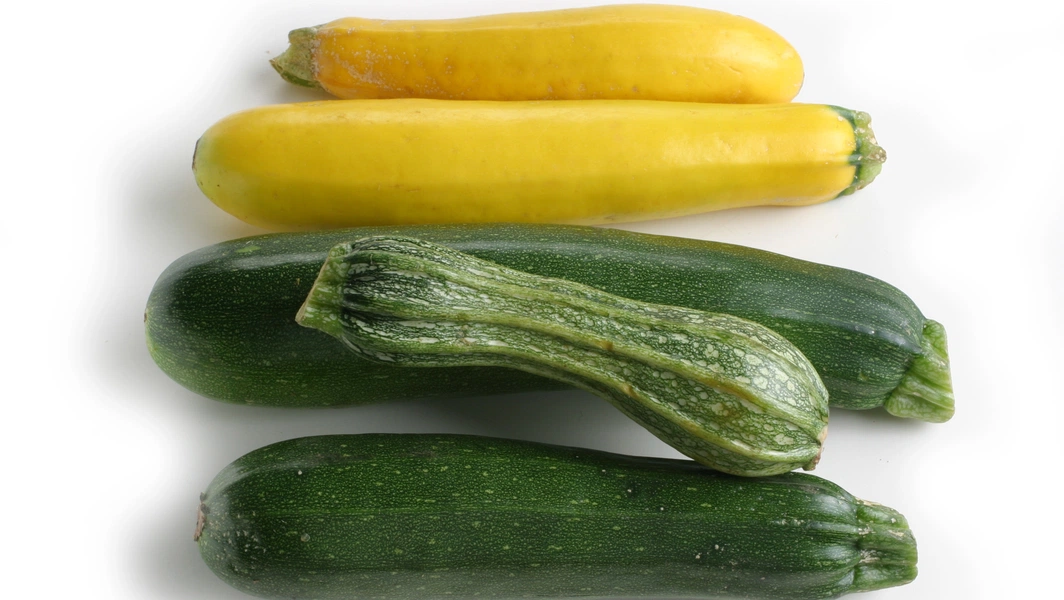 Zucchini bakes that taste like pure comfort