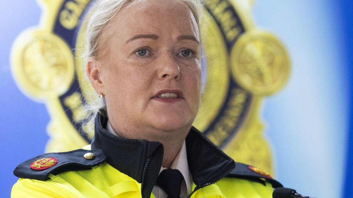 Violence against women: Senior Garda warns of 'manosphere'