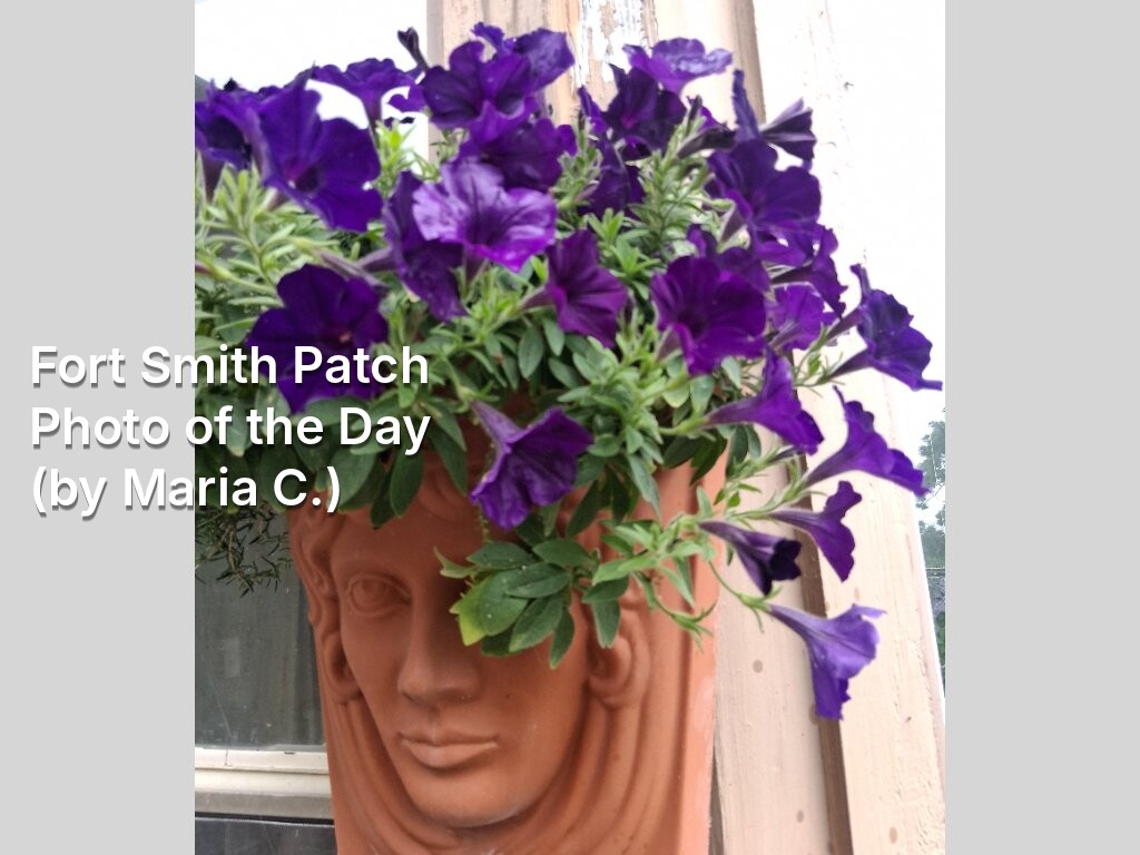 🌱 Patch AM: Will Fort Smith voters get to reshape city government in 2026?