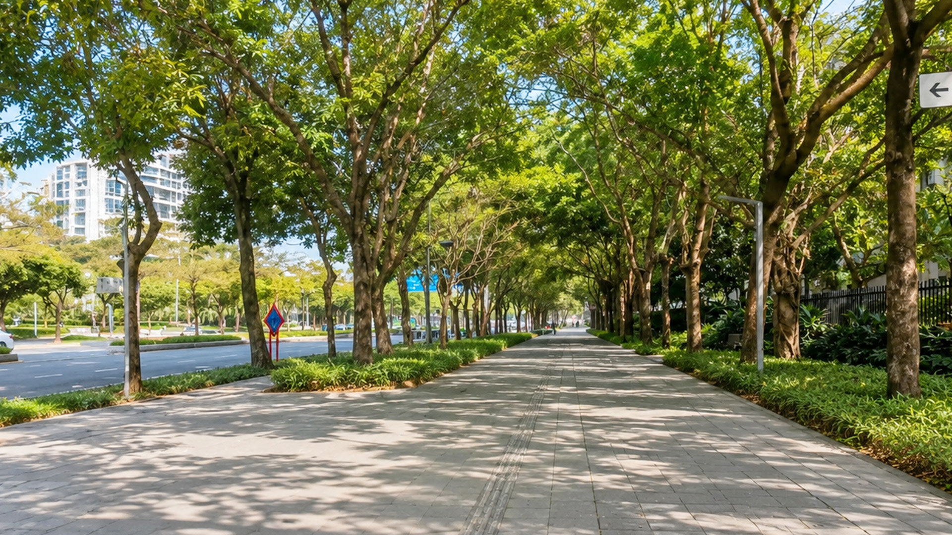 A peaceful walk through China’s long tree covered sidewalks