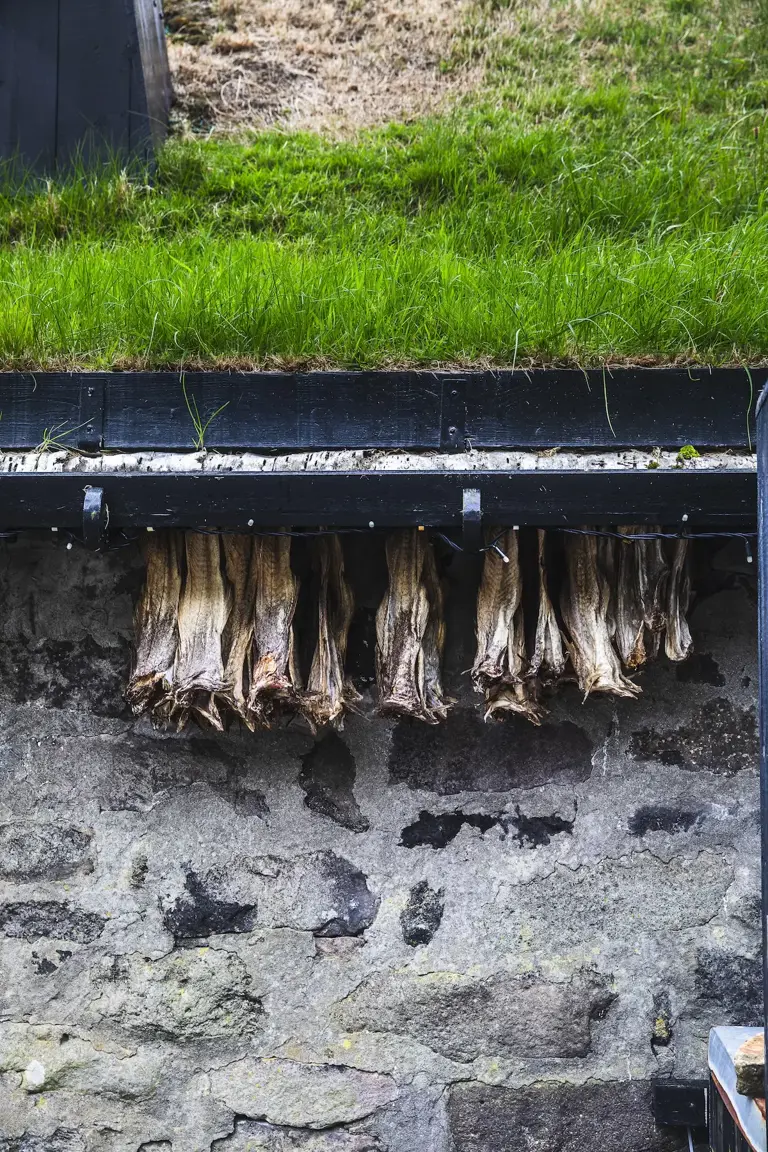 Nelle Isole Faroe esiste una cucina che sa di vento, fermentazione e oceano