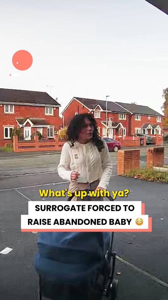 Surrogate forced to raise an abandoned baby