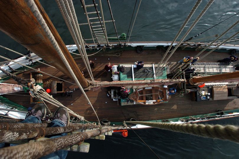 25 photos of Gloucester's Tall Ships Festival as event takes a year off