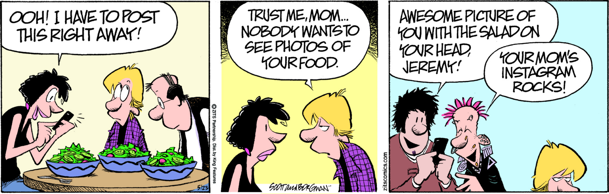 Zits by Jerry Scott and Jim Borgman