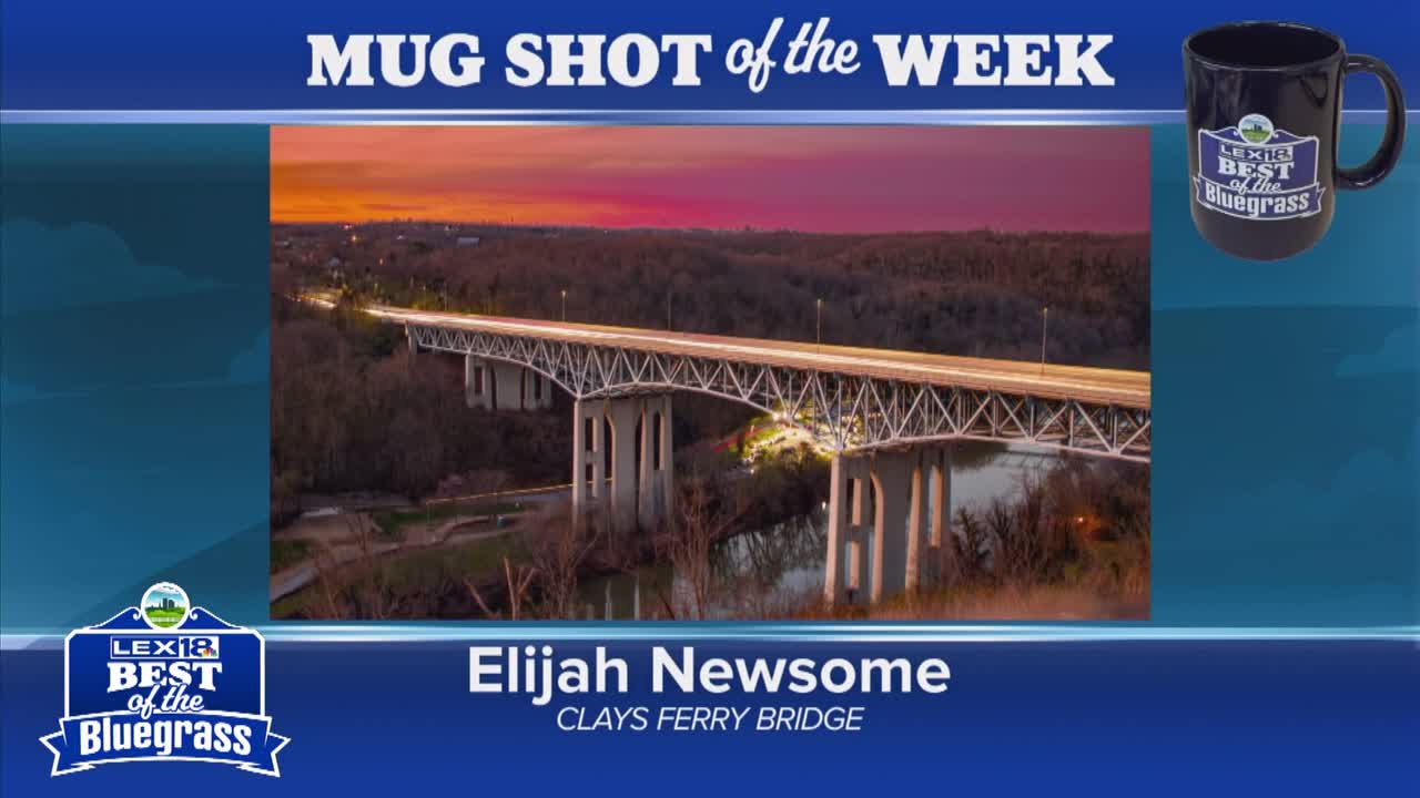 Mug shot of the week