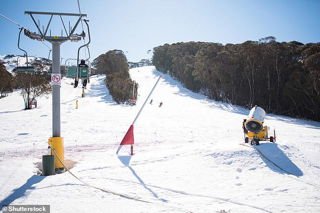 Australia's ski season forecast revealed: What to know before you hit ...