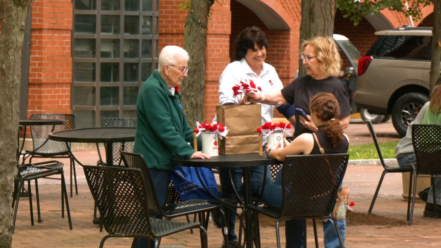 Red poppies given out in Corning to honor fallen veterans