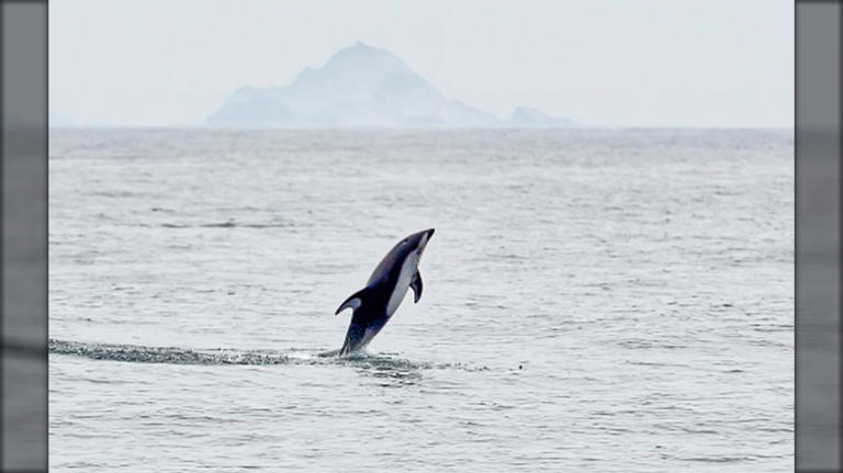 Some of America's most dangerous islands are remote and right off ...