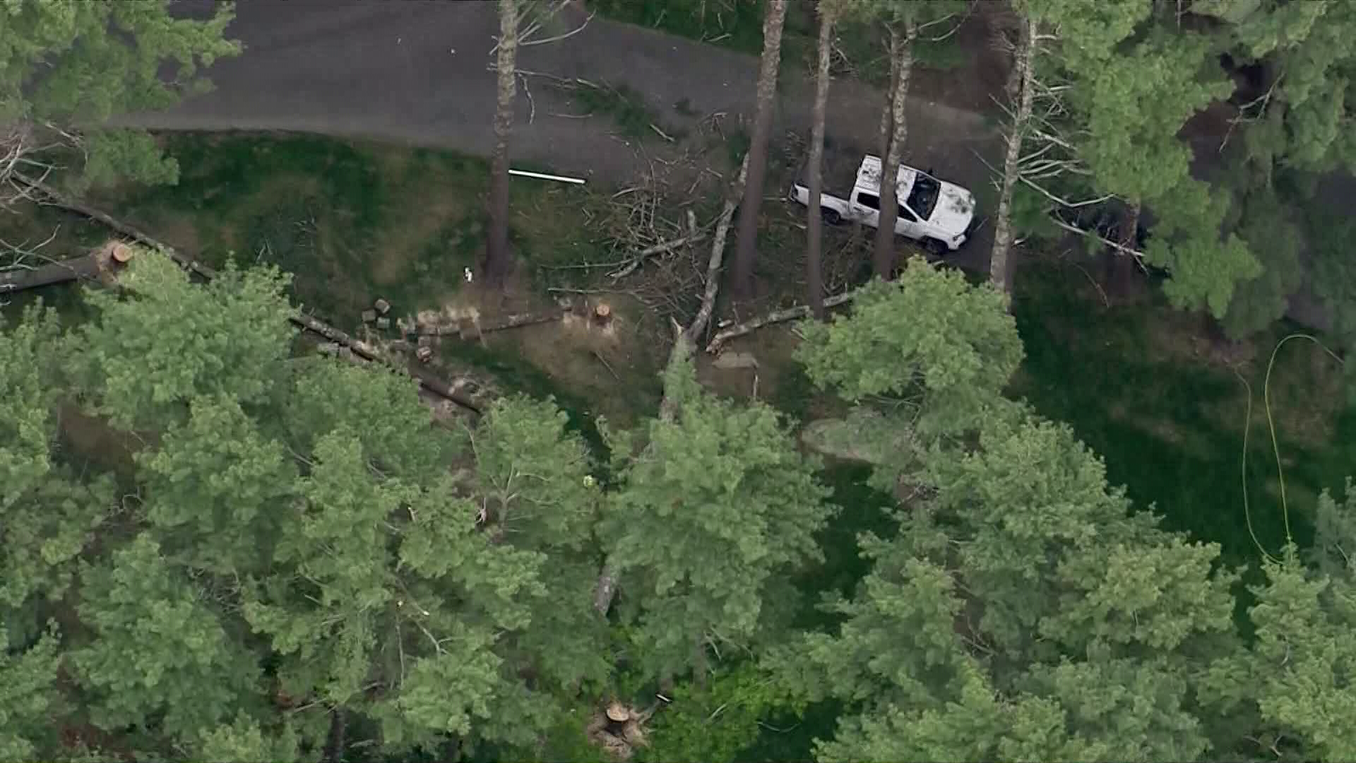 Falling tree strikes, seriously injures man on the South Shore