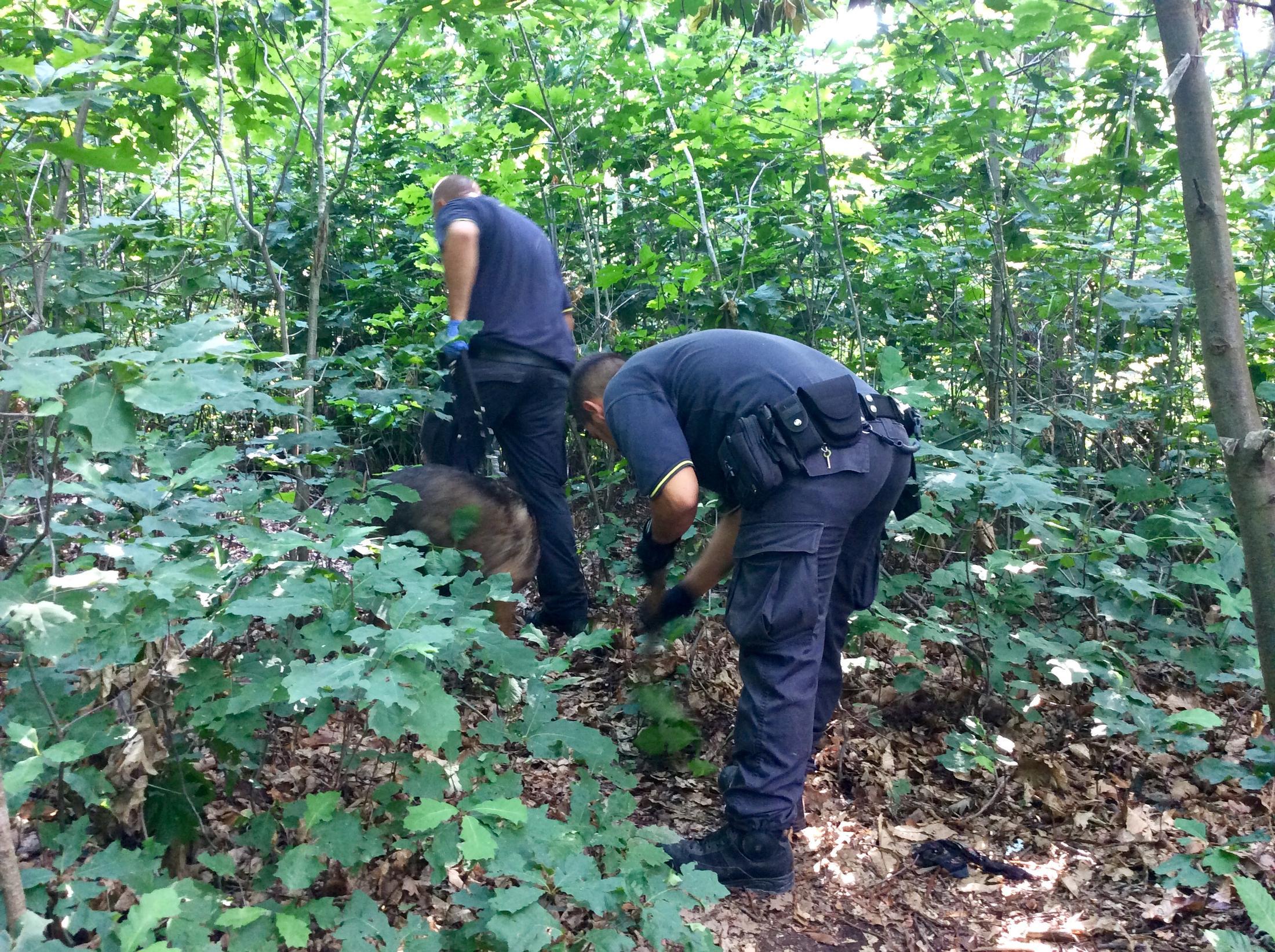 La furia del pusher. Due agenti in ospedale. Bloccato a stento