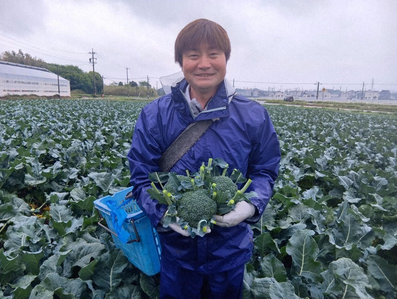 Japan designates broccoli as essential vegetable amid rising demand