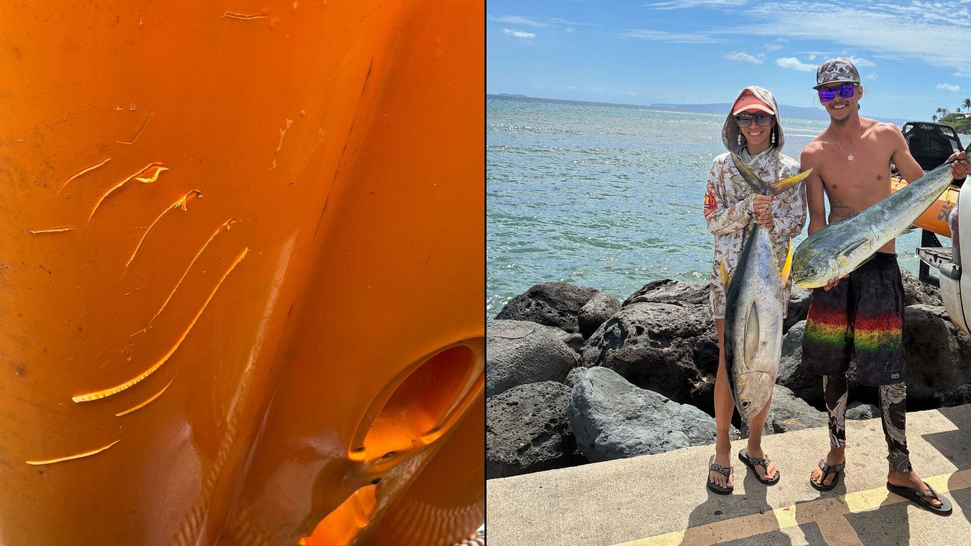 Maui couple fends of tiger shark in frightening Olowalu encounter