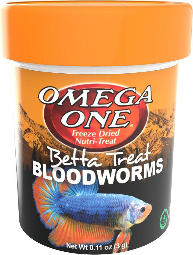 How to properly care for betta fish