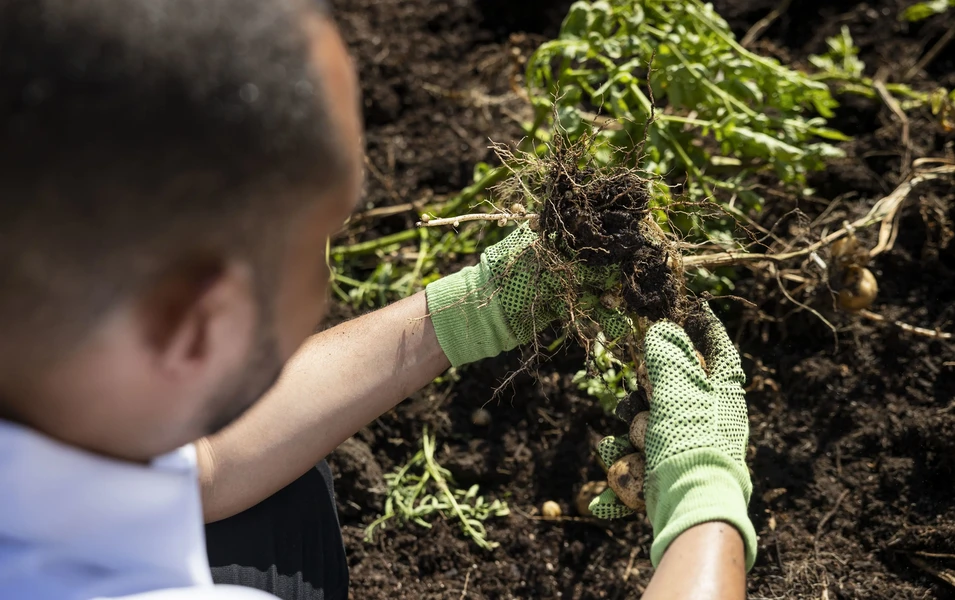 Grow your happiest garden with these pro tips