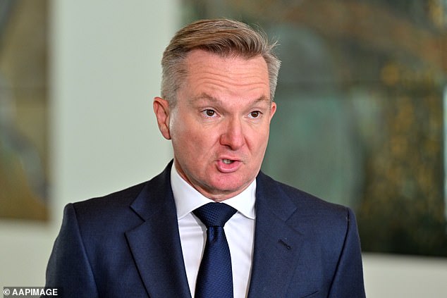 Australia's $2.9billion fuel excise cut to remain temporary in bad news ...
