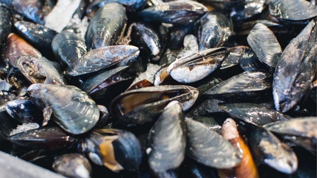 Red tide prompts shellfish ban in Biliran, parts of Samar, Eastern Samar