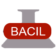 Bacil Pharma standalone net profit rises 3000.00% in the March 2026 quarter