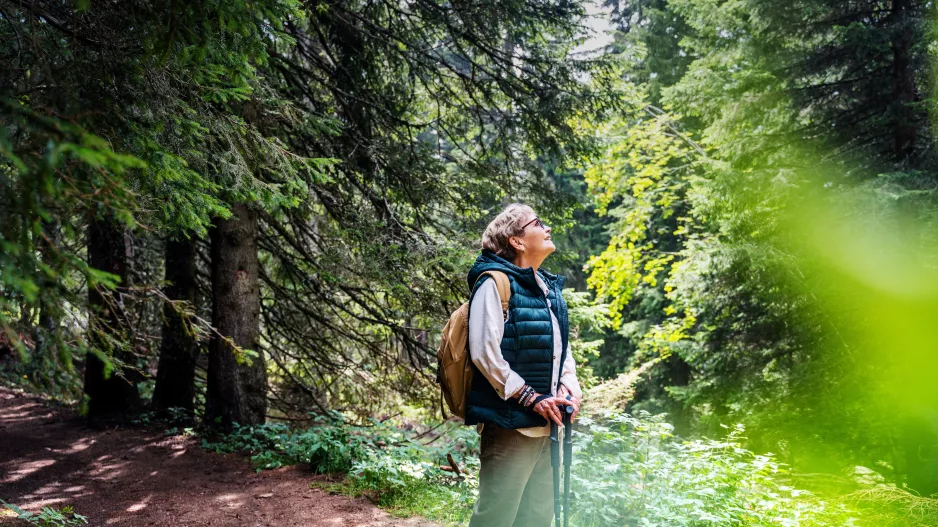 Kvíz: Poznáte stromy jen podle krátkého popisku a fotografie?