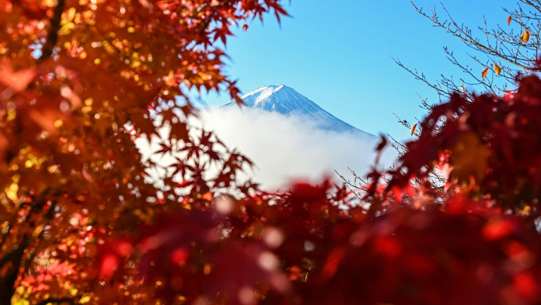 Exploring Japan’s timeless culture and modern charm