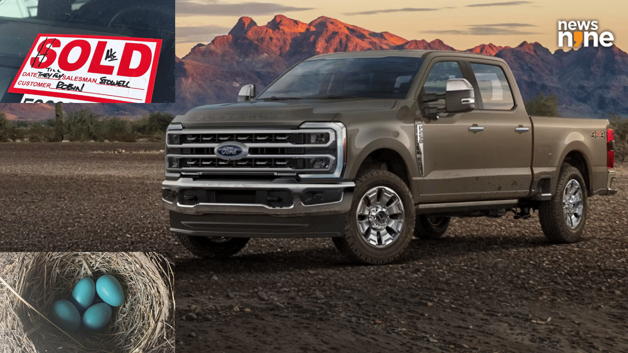 Robin bird makes nest on sold F-250; forces Ford dealer delay delivery
