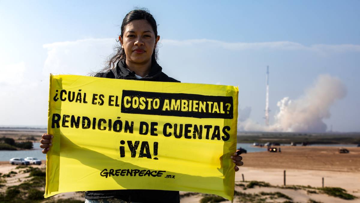 Greenpeace exige a Elon Musk rendir cuentas por daños ambientales de ...