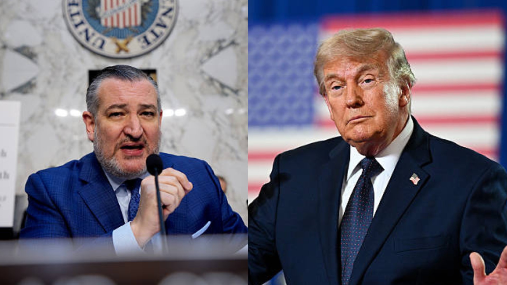 ‘They were pissed’: Even Ted Cruz condemns Trump’s $1.8 billion ‘anti ...