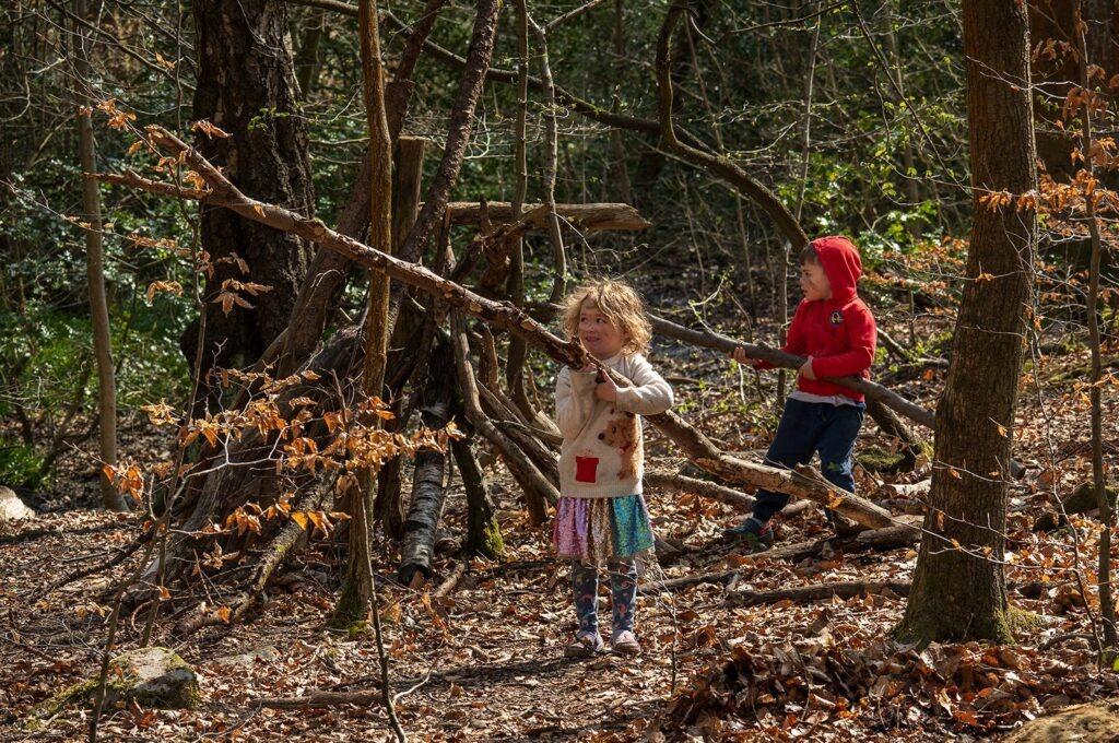 Back to nature with the 30 Days Wild challenge