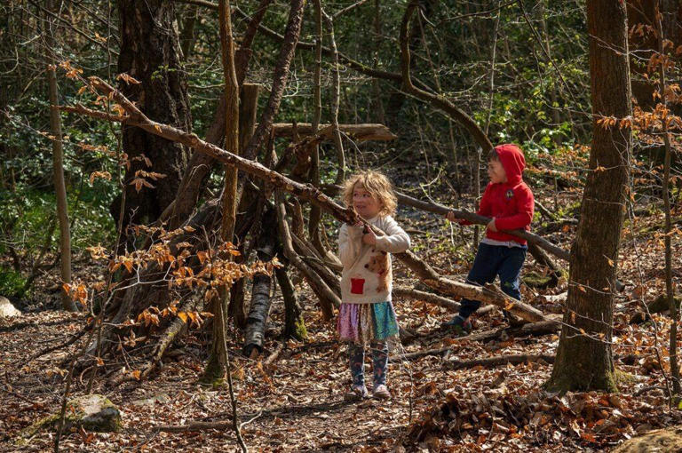 Back to nature with the 30 Days Wild challenge