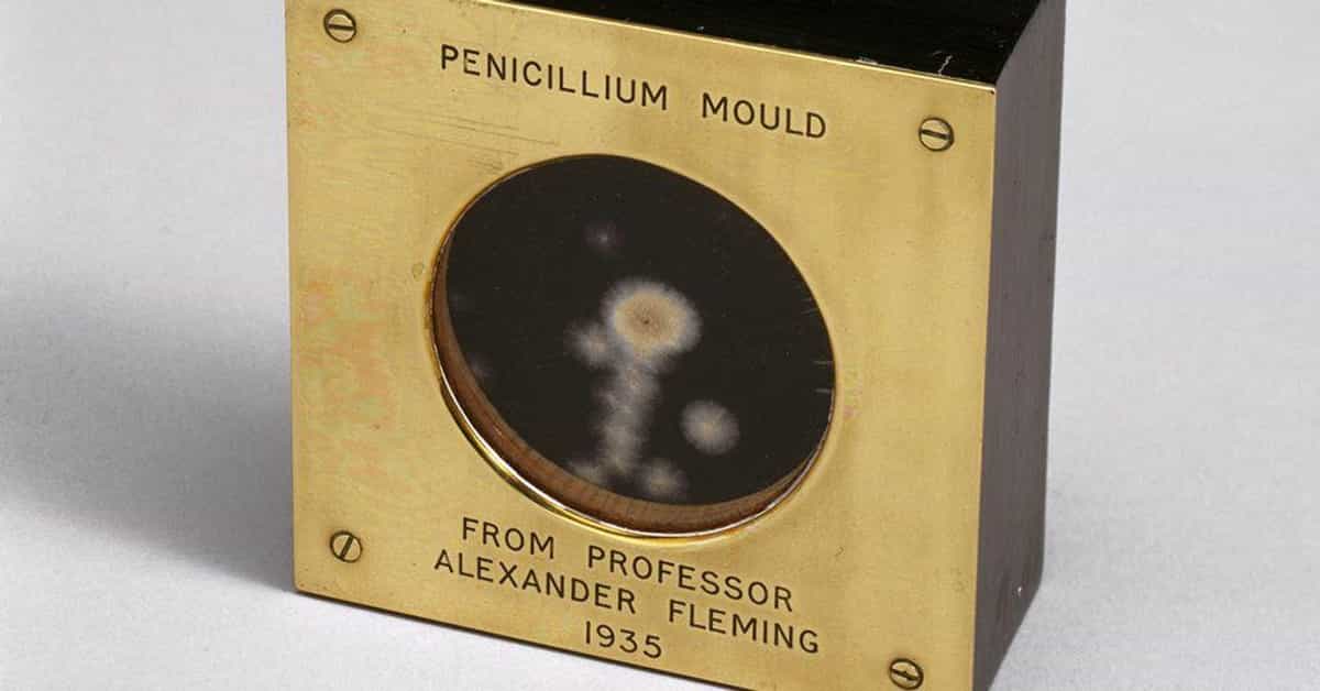 Major medical discoveries made by mistake