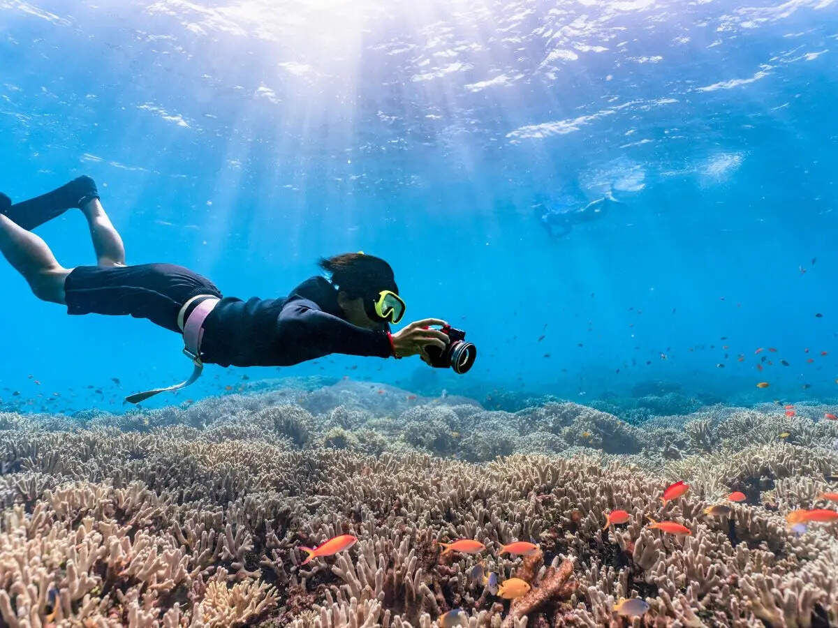 6 best scuba diving destinations in the world