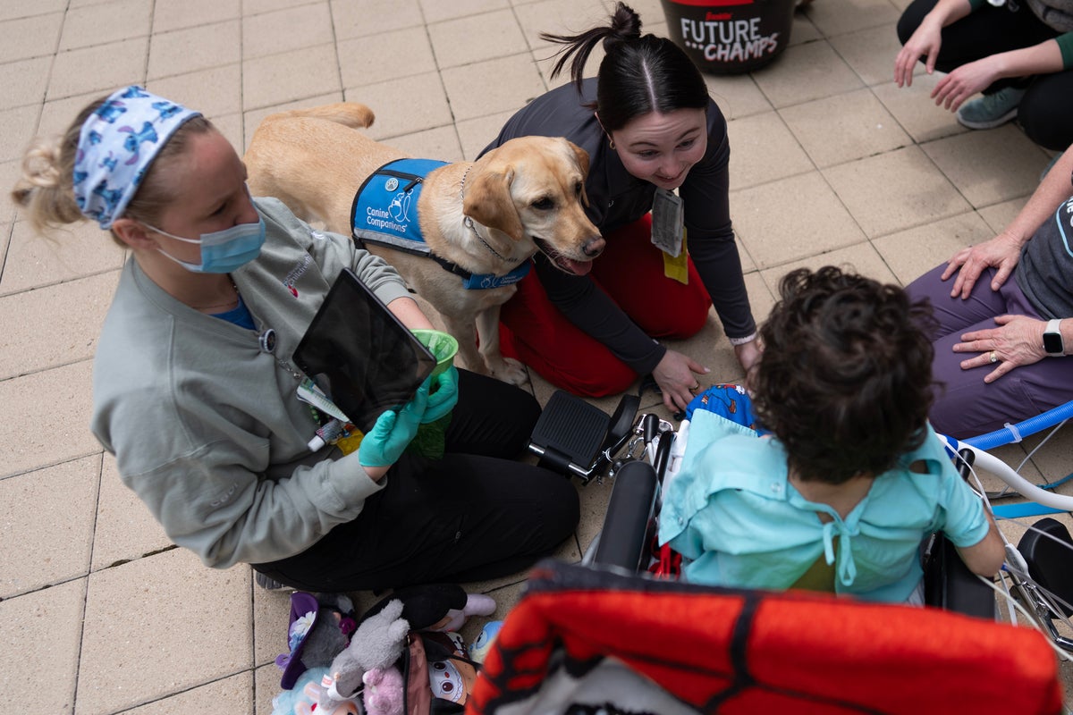 Healing with a wag and a nuzzle, meet the dogs brightening hospital ...