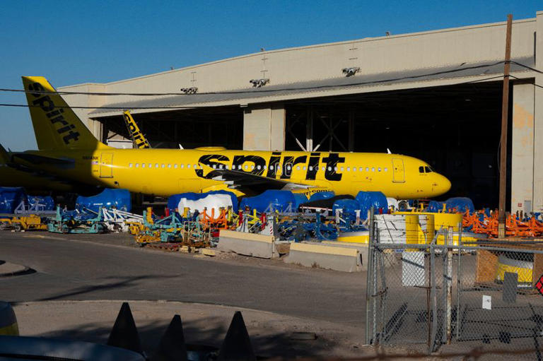 TikTok creator's crowdfunding campaign to buy Spirit Airlines racks up ...