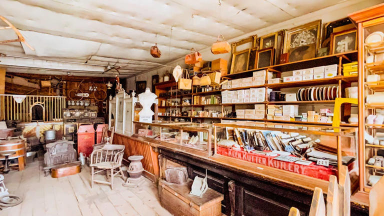 Never pass up these thrift store finds—they could be worth a fortune