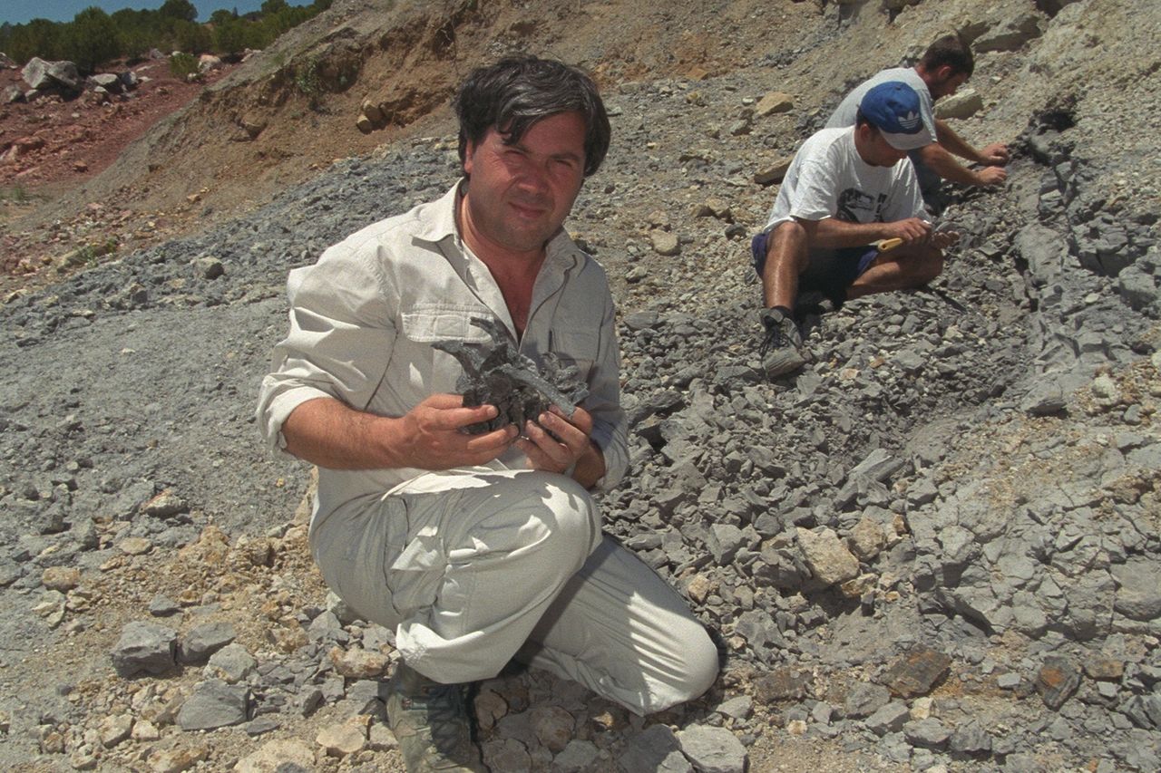 72-million-year-old dinosaur eggs the size of small melons found in ...