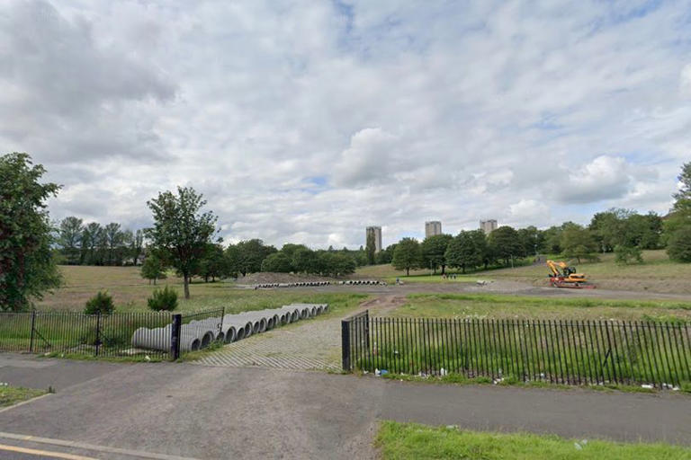 Water voles could be moved from a Glasgow park due to concerns for ...