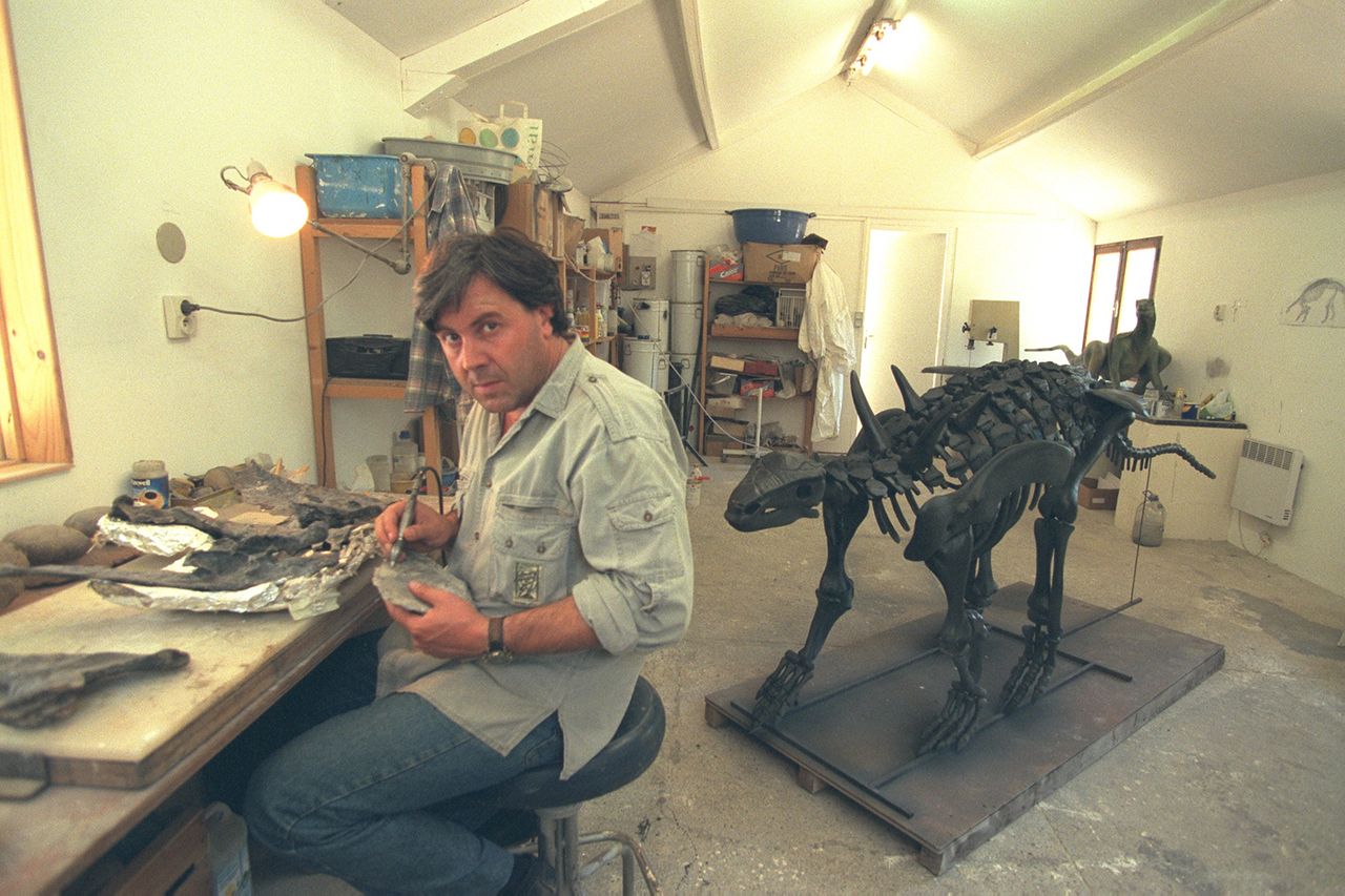 72-million-year-old dinosaur eggs the size of small melons found in ...