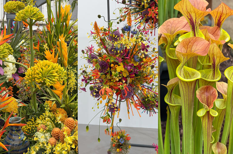 5 garden color trends to inspire your flower beds in 2026 and beyond